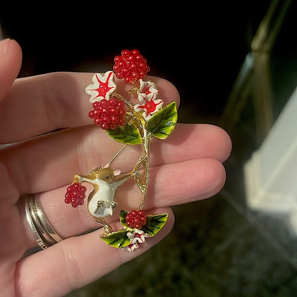 Jewelry | Chipmunk Cranberry Brooch | Poshmark